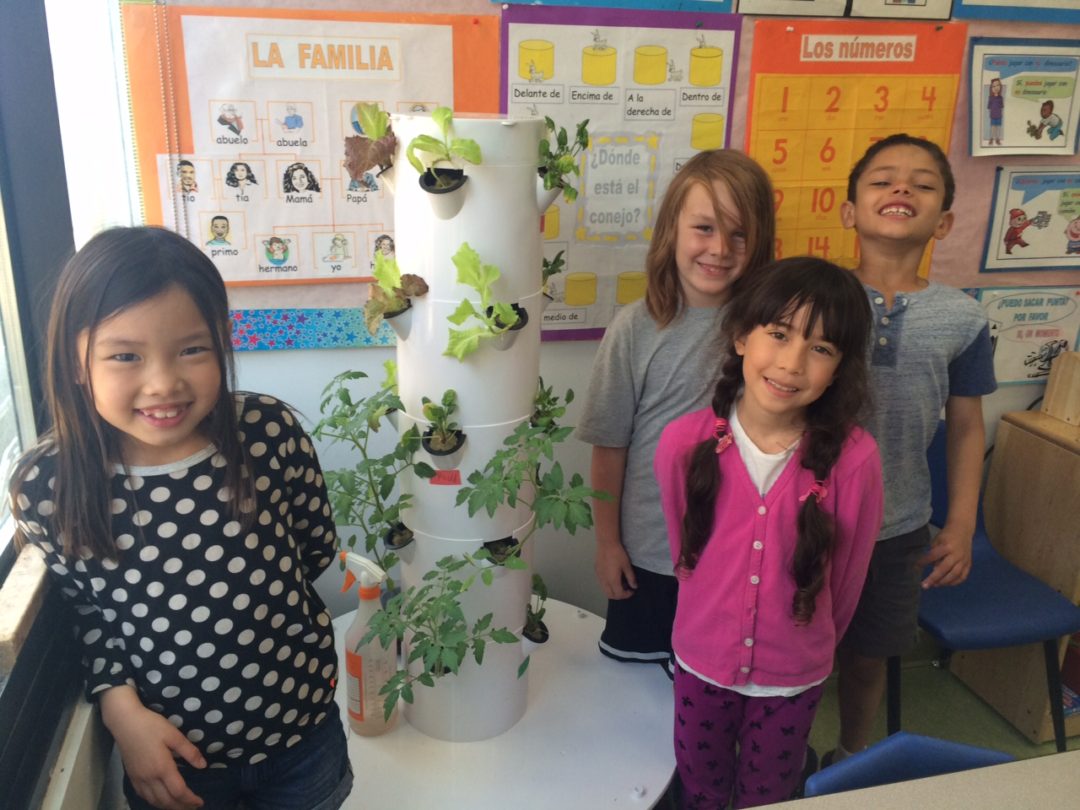 Children S Environmental Literacy Foundation Preparing Today S