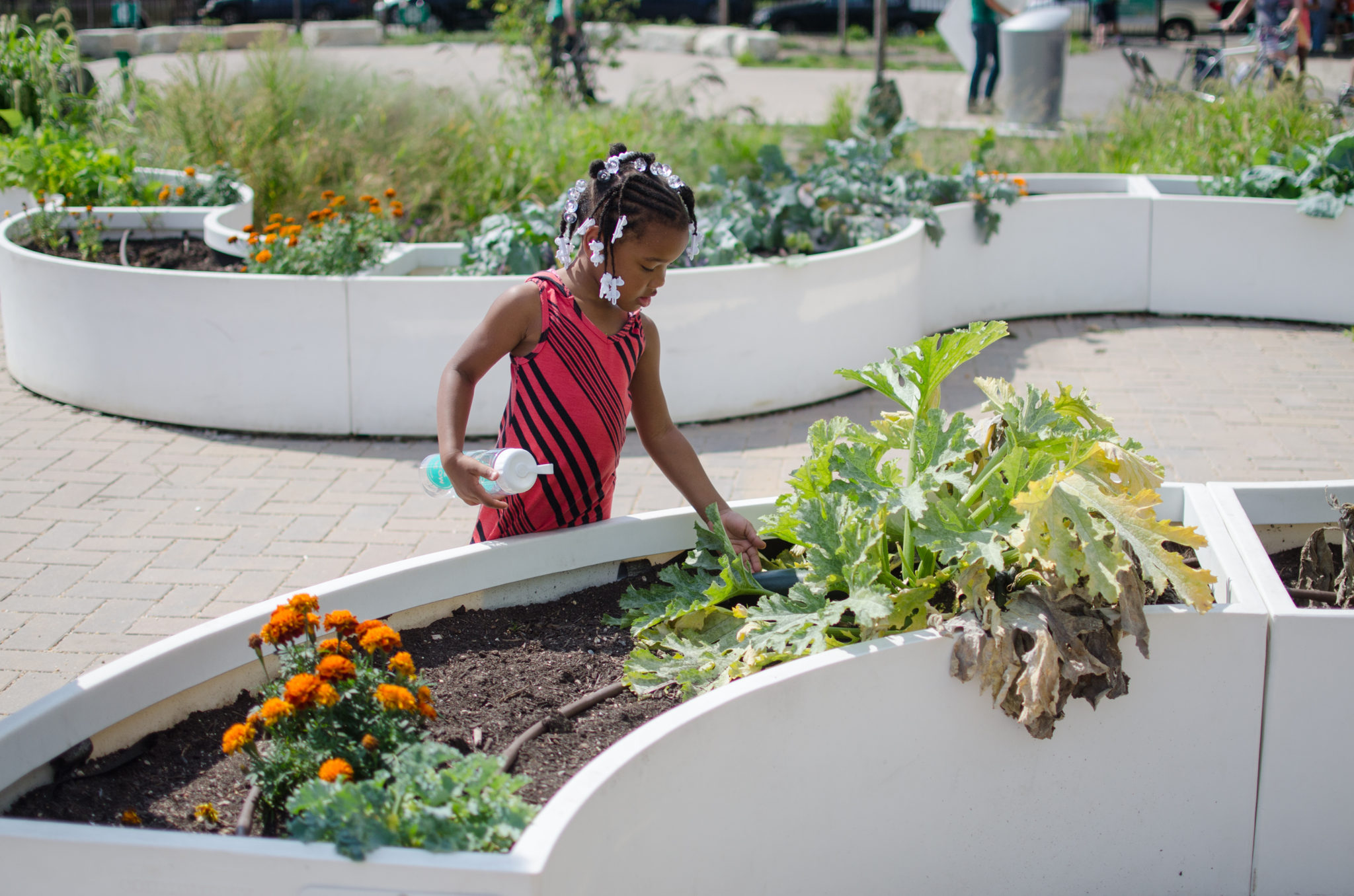 Space to Grow: Making Chicago Schools Healthier, One Schoolyard at a ...