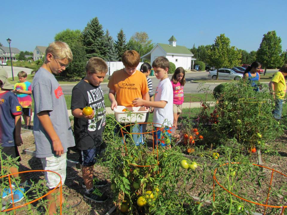 Growing Green Students in the Sustainable Schoolyard - Green Schools ...