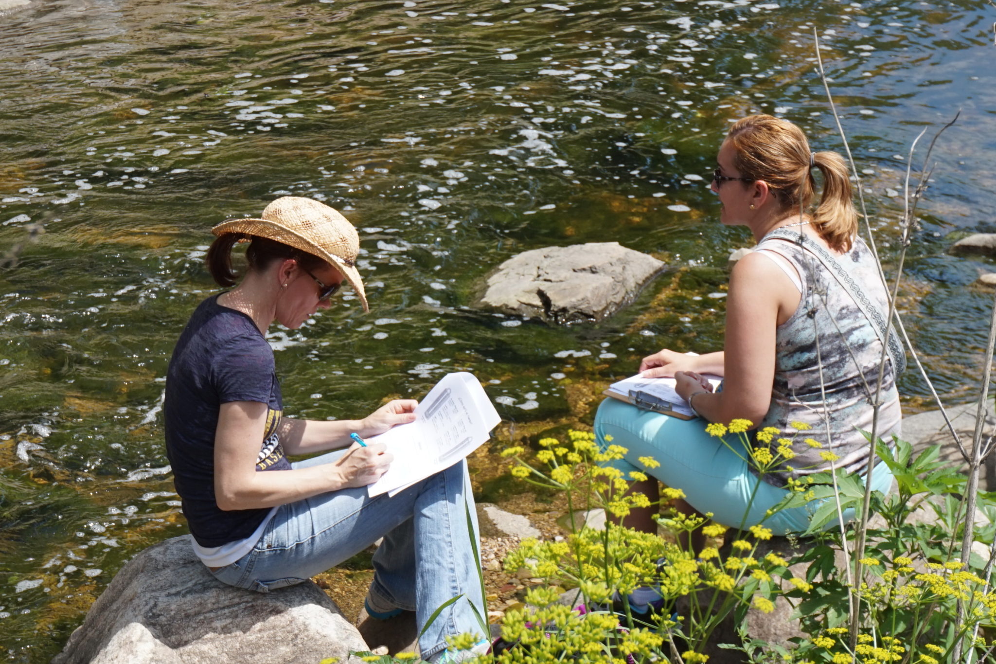 Education through Ecological Restoration: Earth Partnership Engages ...