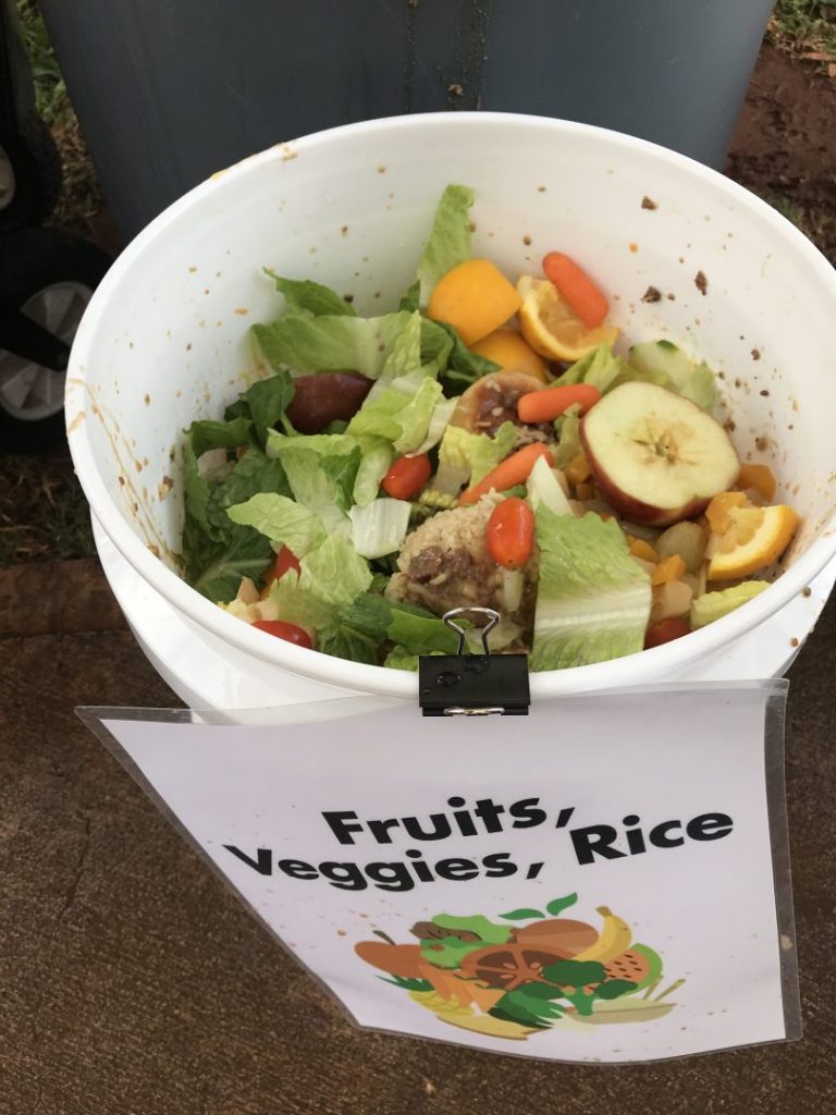The Three Pillars of Success for Achieving Net-Zero in the Cafeteria ...