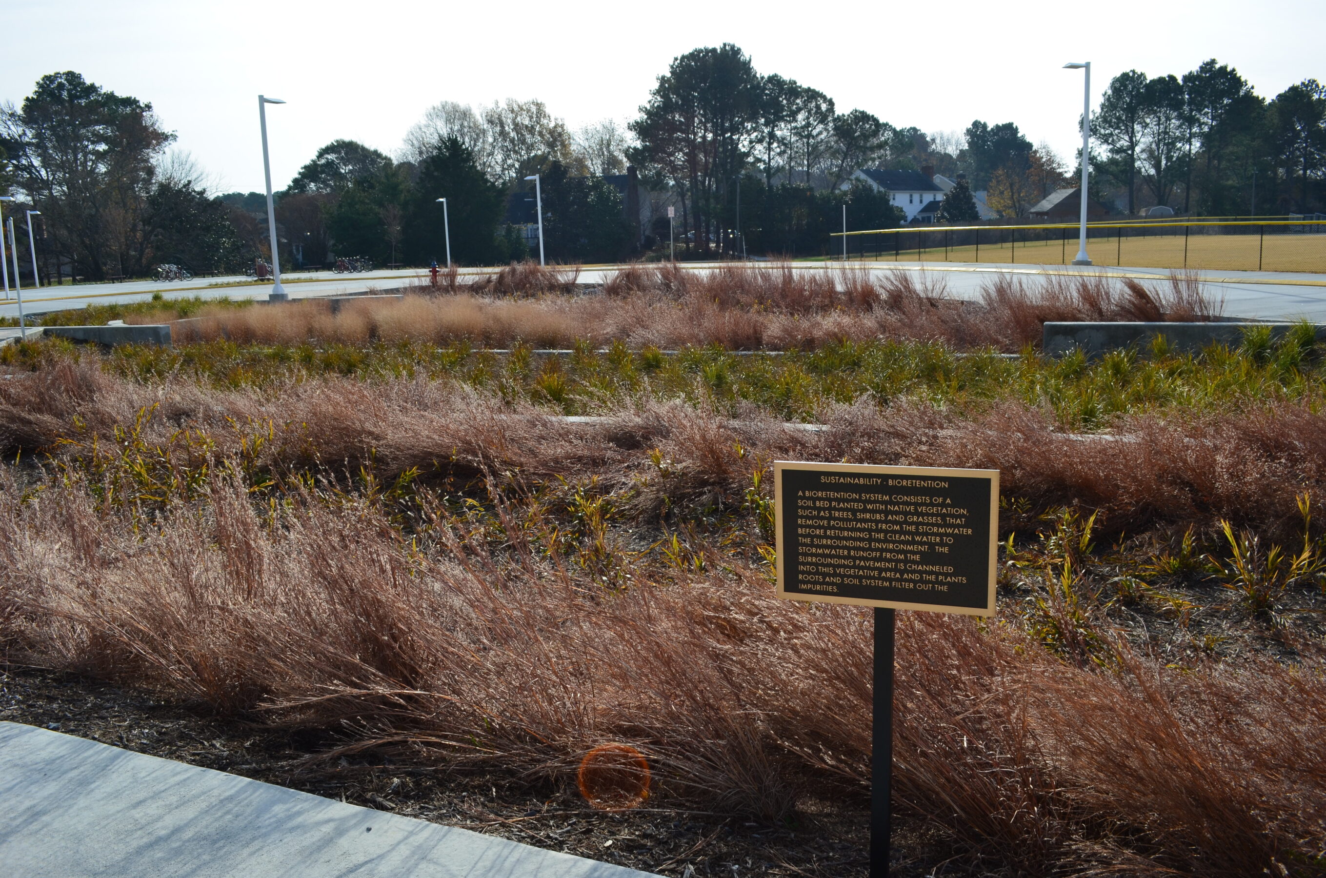 New GSNN Board Member’s Environmentalist Mindset Informs Passion for ...