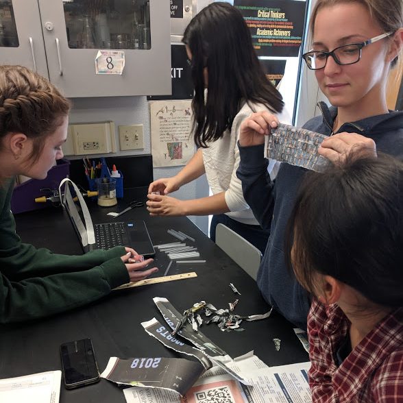 Bringing Biomimicry to Oak Park: One Approach to Integrating Biomimicry ...