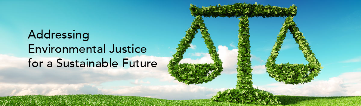 Virtual PD Workshop: Addressing Environmental Justice for a Sustainable ...