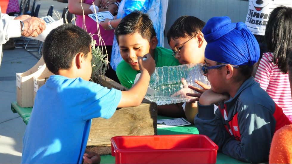 Project-Based Learning Can Make Remote Learning More Meaningful - Green ...