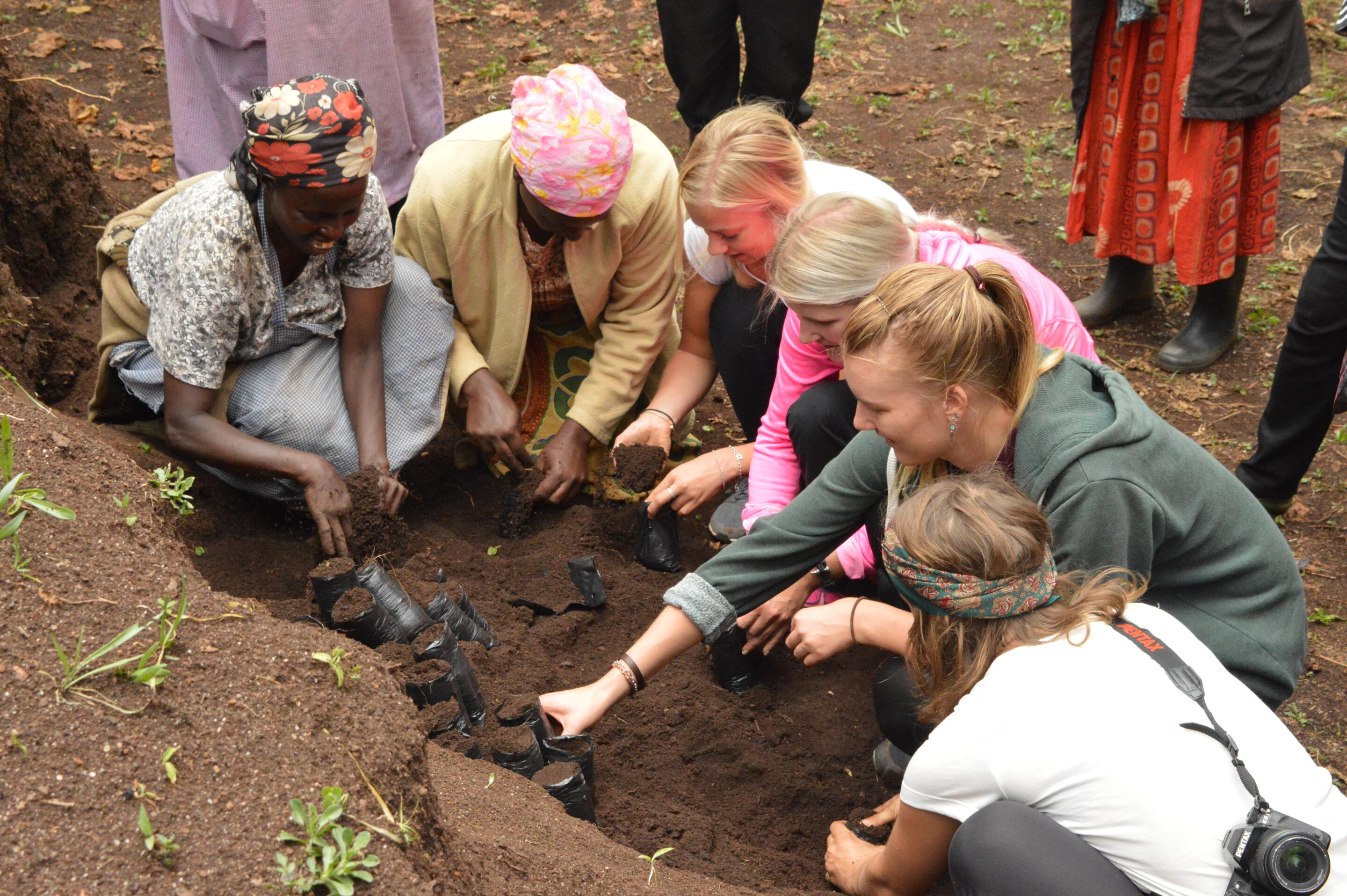 Join Green Schools National Network for a 13-Day Professional ...